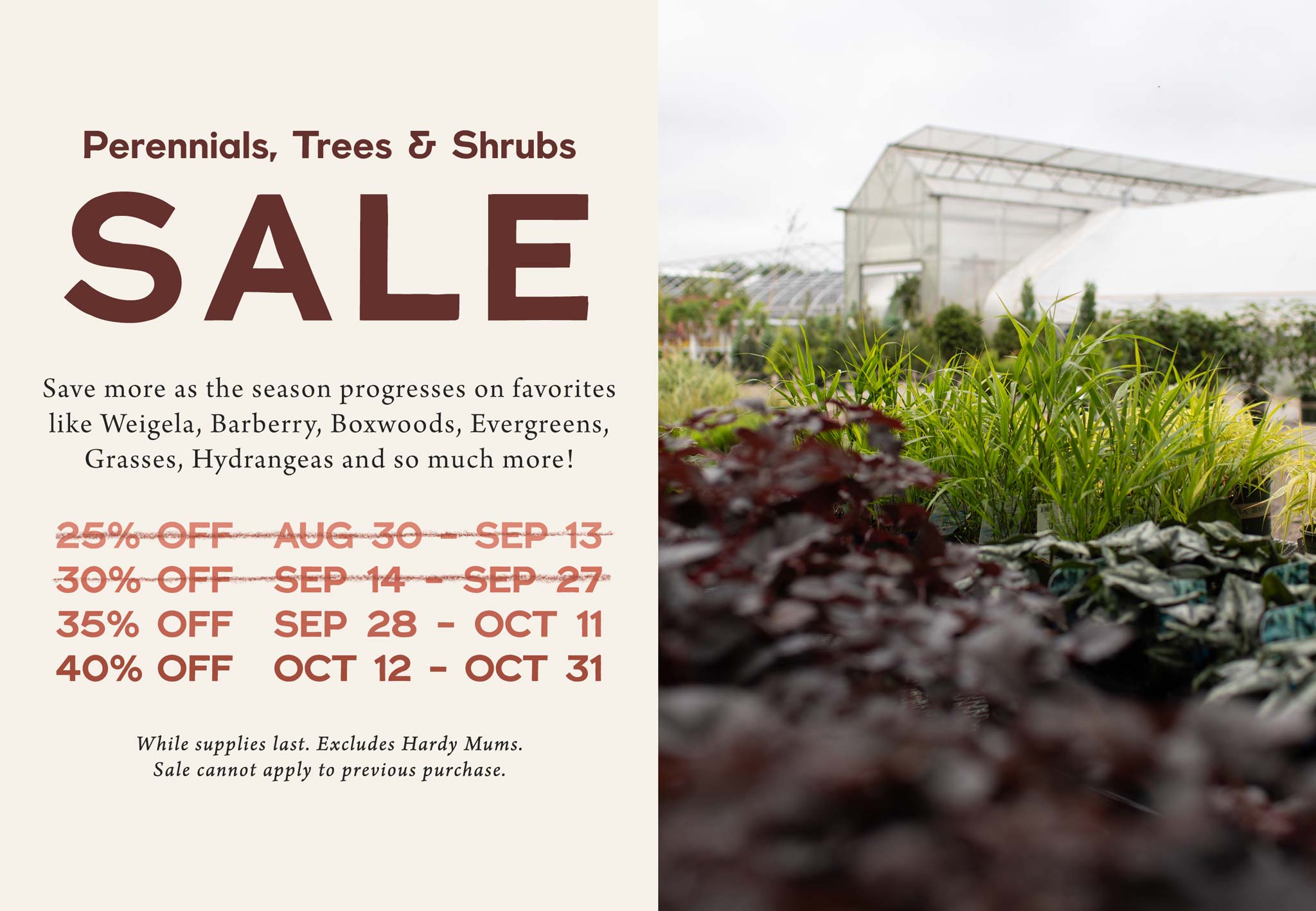 Hoen's Garden Center & Landscaping: Local, Family Owned Business